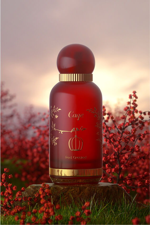 Deraah Store - متجر درعه